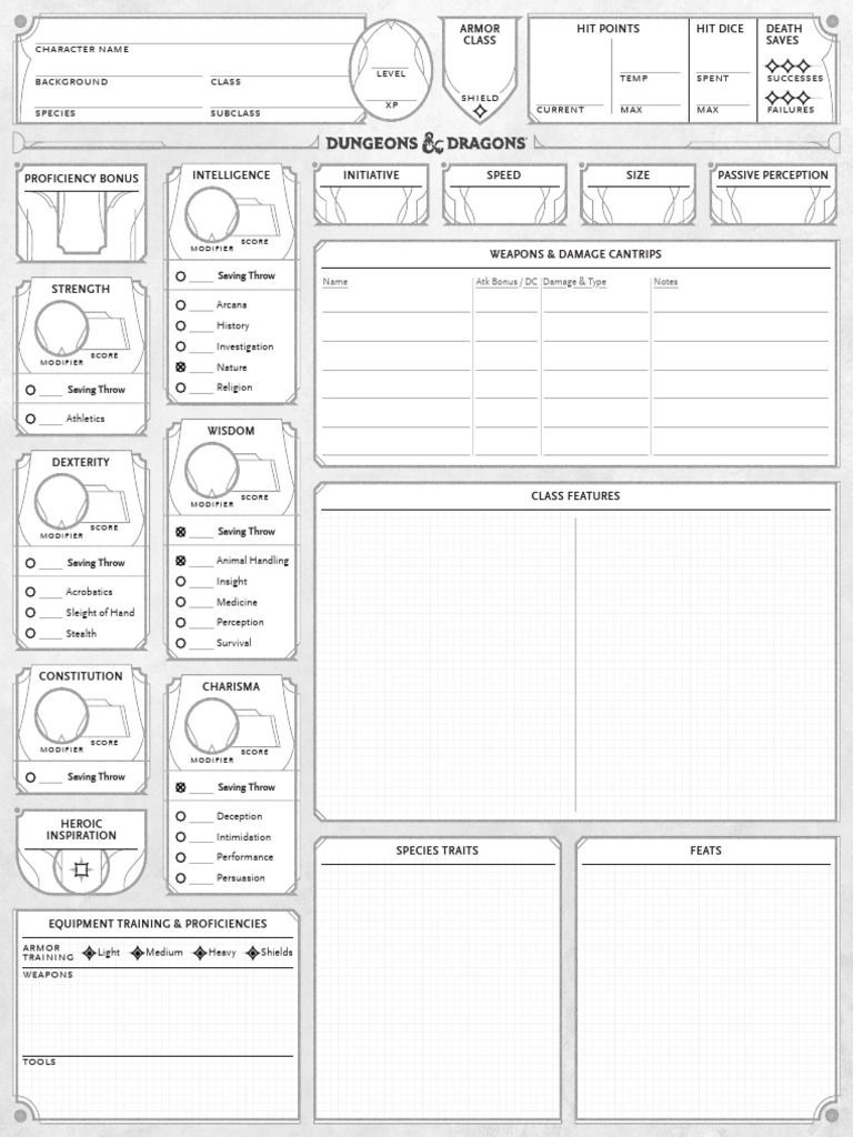 DND 2024 Character-Sheet Kelion | PDF | Gaming | D20 System