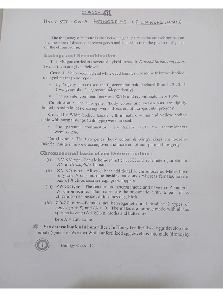 Ch5 Principles of Inheritance Class 12th | PDF