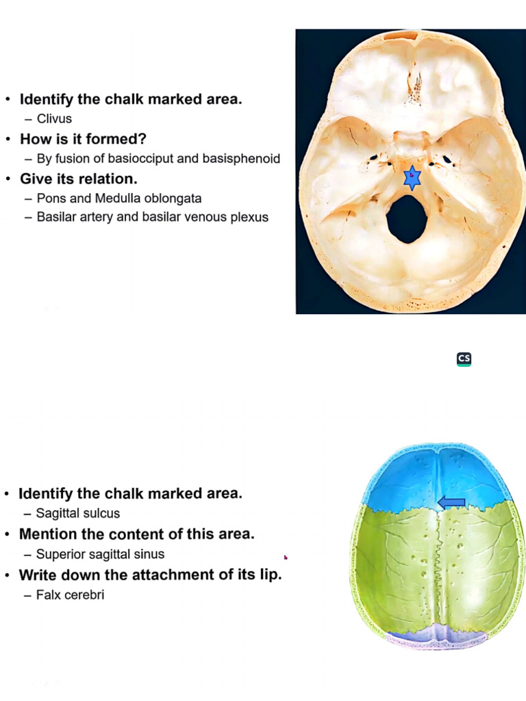 OSPE of Head Neck | PDF