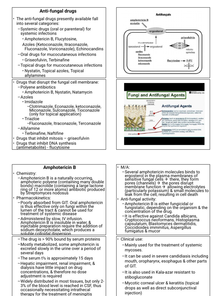 Anti-Fungal Drugs Modified | PDF | Candidiasis | Pharmacology