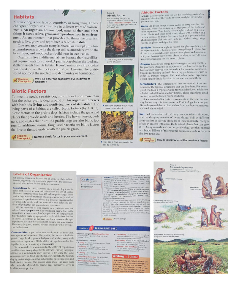 Ecology Info For The Test 8th Grade | PDF