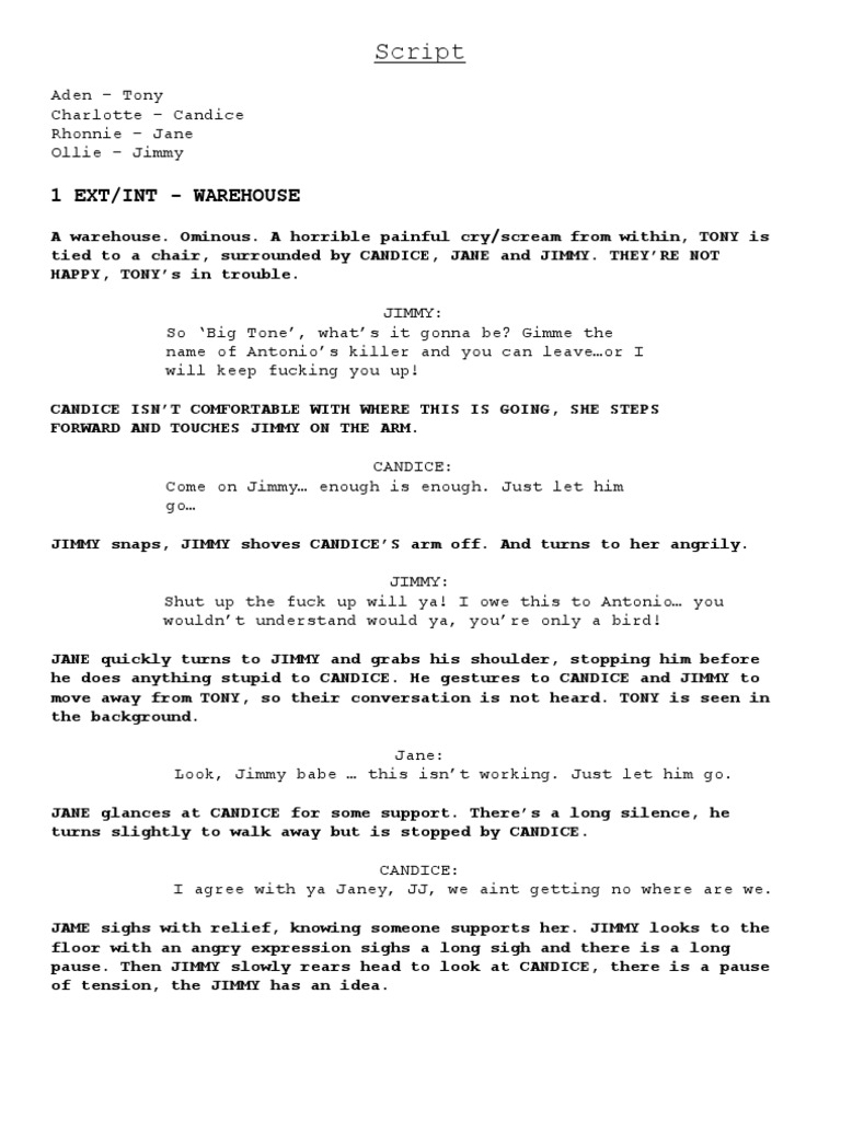 The Script | PDF | Leisure