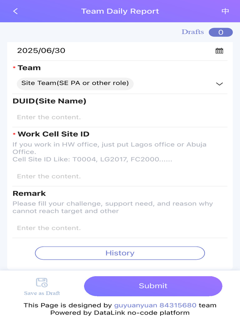 Team Daily Report | PDF