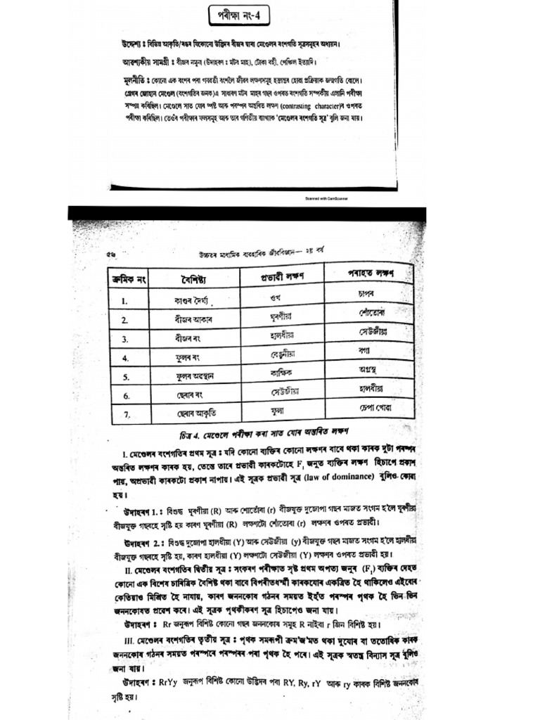 Practical 2nd Yr Assamese 3 | PDF