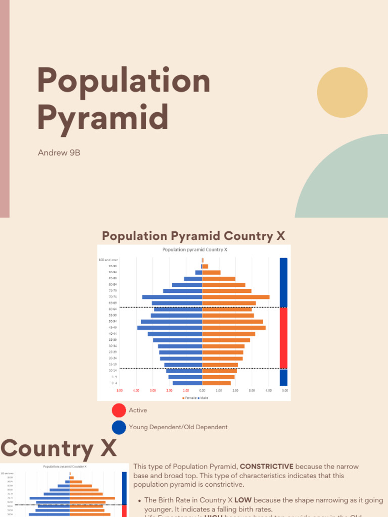 Population Pyramids: Country X vs Y Analysis | PDF | Economics | Economies