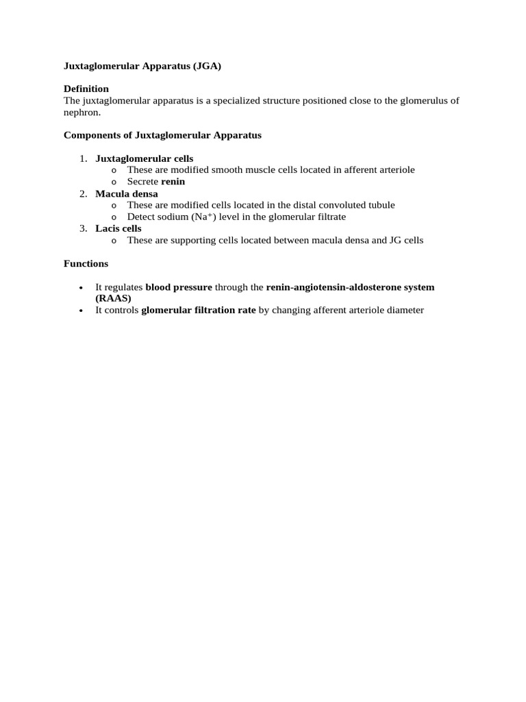 Juxtaglomerular Apparatus | PDF