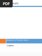 Oxfordmedicaleducation ABCDE Assessment | PDF | Clinical Medicine ...