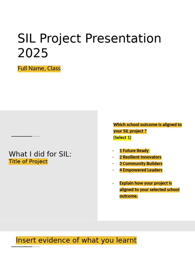 SIL Project Overview and Insights | PDF
