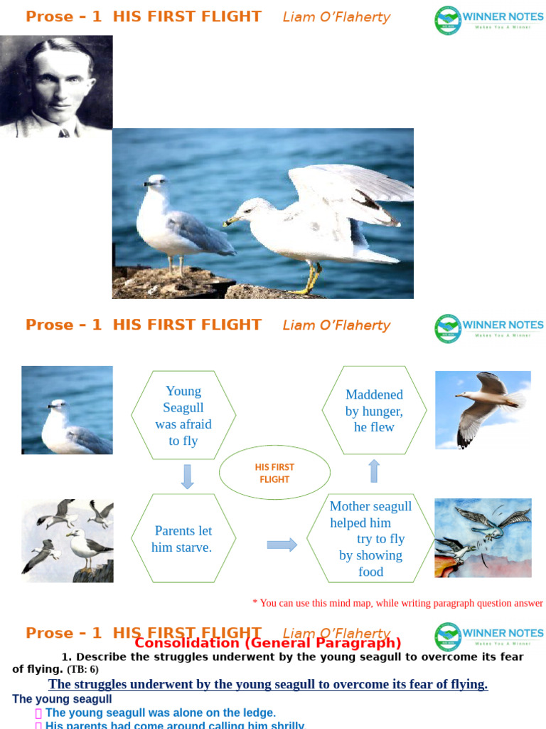 10th Eng Prose 1 His First Flight-1 | PDF