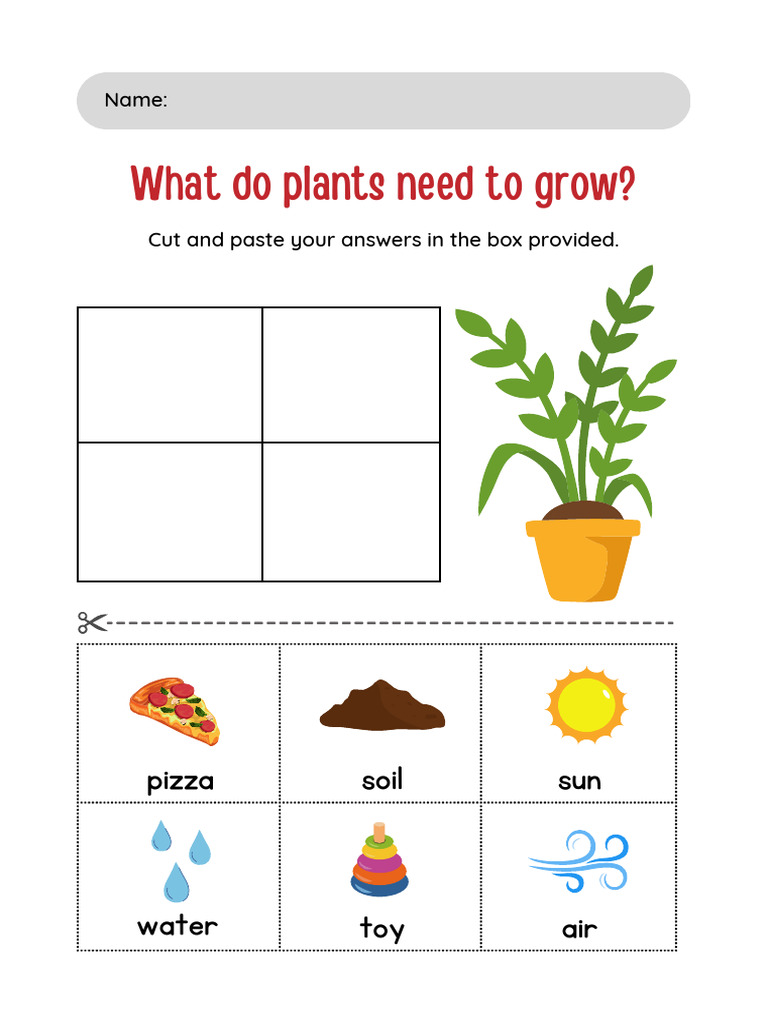 Colorful Fun What Do Plant Needs Science Worksheet | PDF