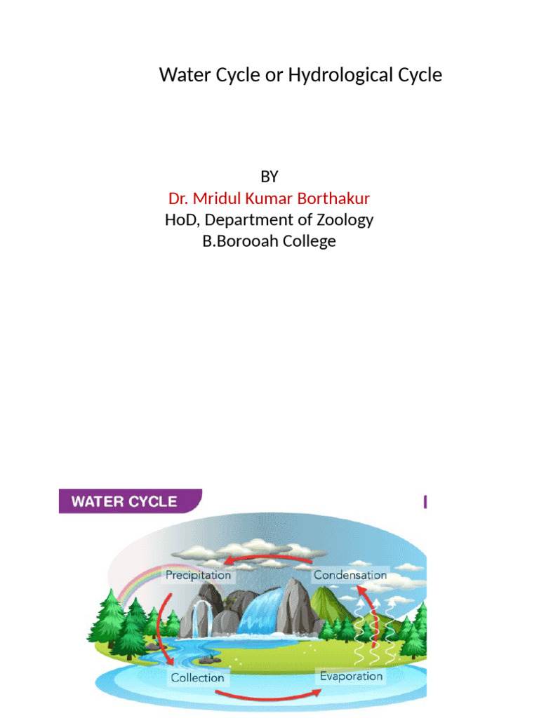 Hydrological Cycle | PDF