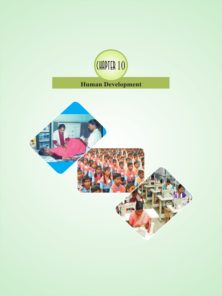 Chapter 10 Human Development | PDF | Literacy | Teachers
