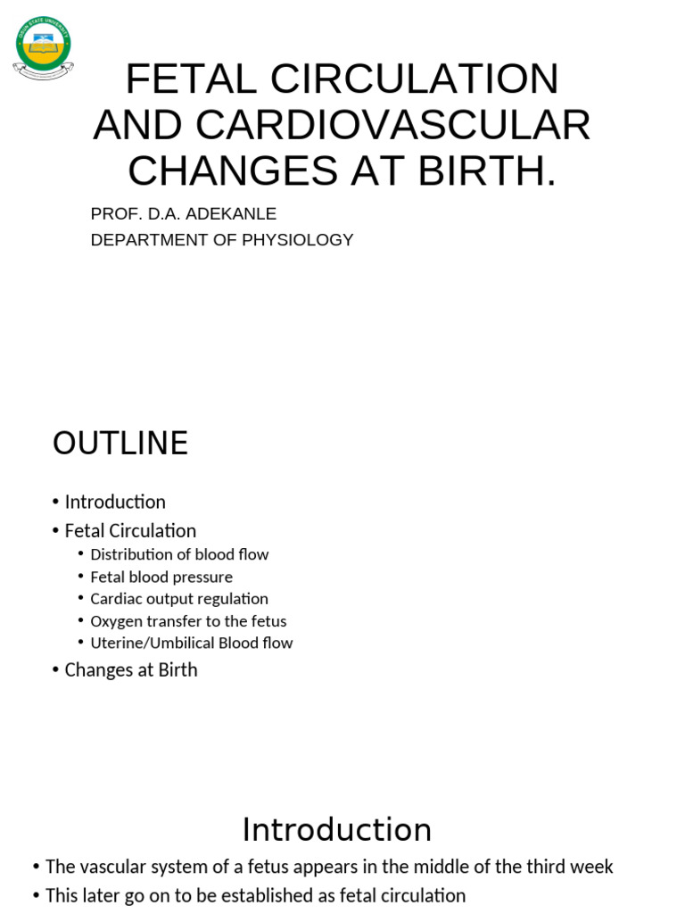 Fetal Circulation and Birth Changes | PDF | Atrium (Heart) | Heart