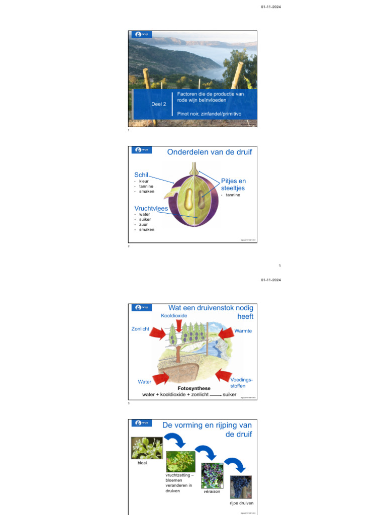 Level 2 Les 2 Wset2 | PDF