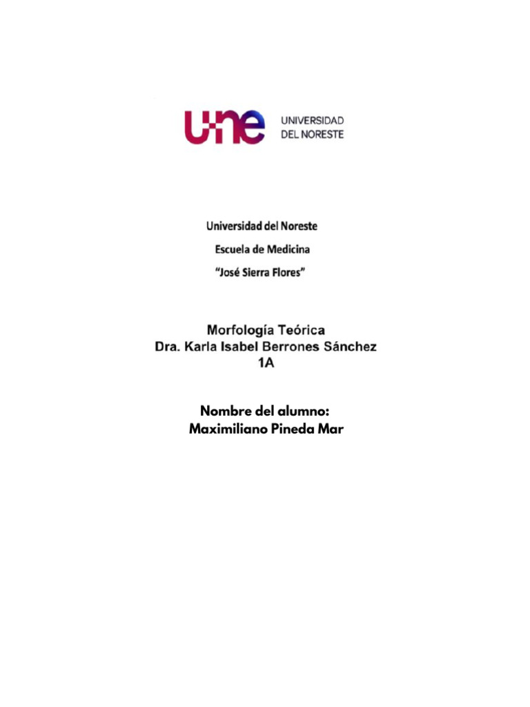 Triángulo Femoral Act Morfo | PDF | Angiología | Anatomía del miembro inferior