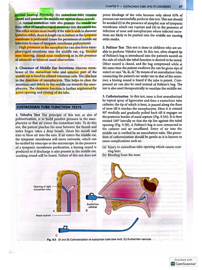 Eustachian Tube Ent | PDF