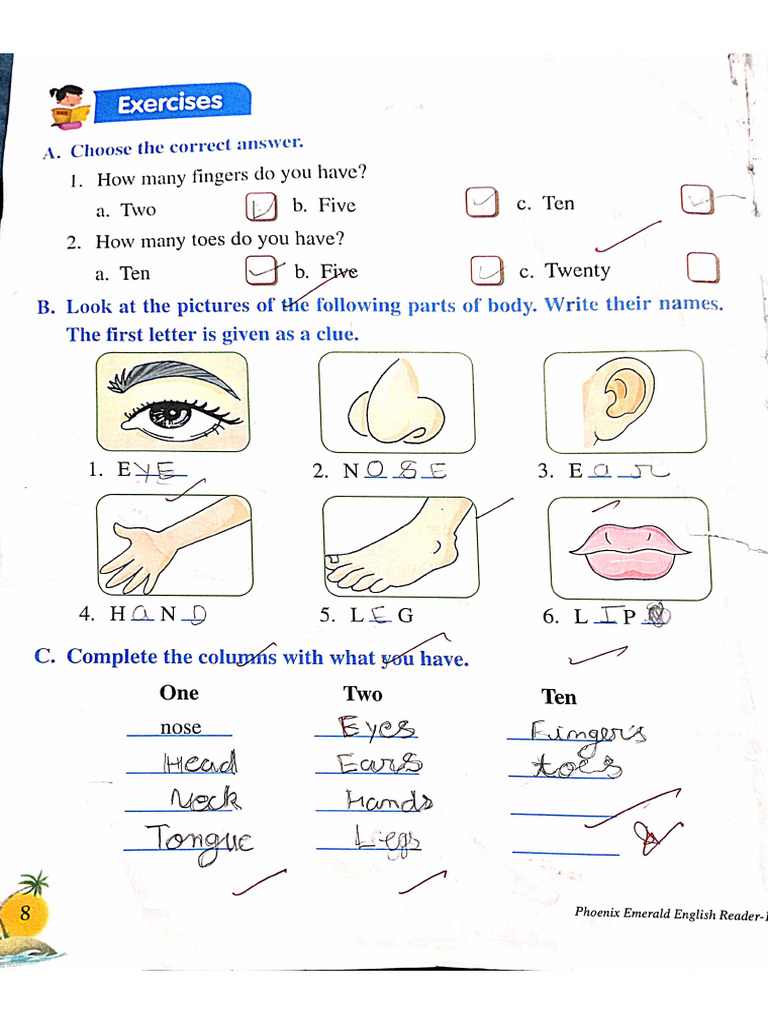 Class 1st Eng. Reader | PDF