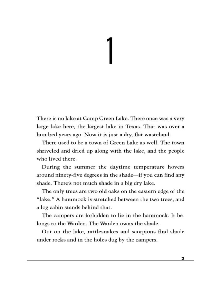 Holes by Louis Sachar Comprehension | PDF