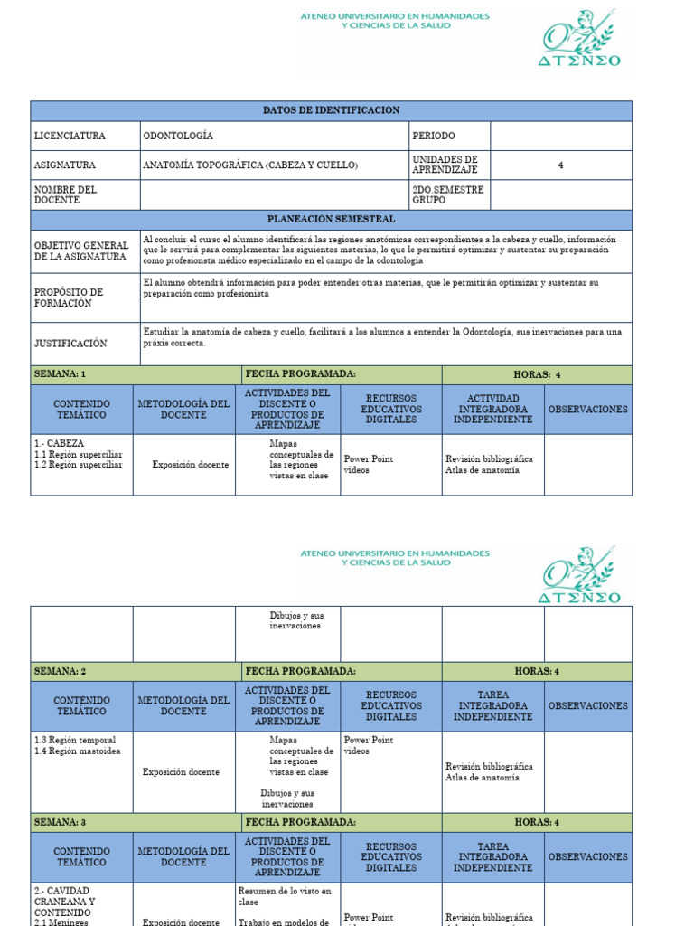 Syllabus Anatomía Topográfica ( Cabeza y Cuello) 2do Sem | PDF | Aprendizaje | Modificación de ...