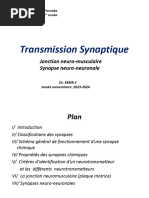 Schéma de la synapse neuro-neuronique | PDF | Synapse | Neurone