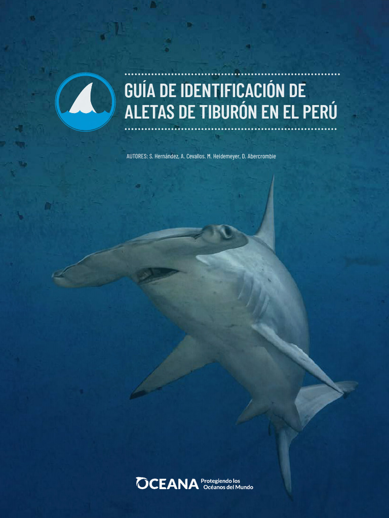 Guía Aletas Tiburon 2021 | PDF | Tiburones | Pescado