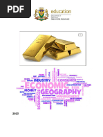 Grade12 Economic Geography Notes | PDF