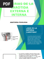 9 Arteria Carótida Primitiva y Externa | PDF | Aorta | Arteria carótida ...