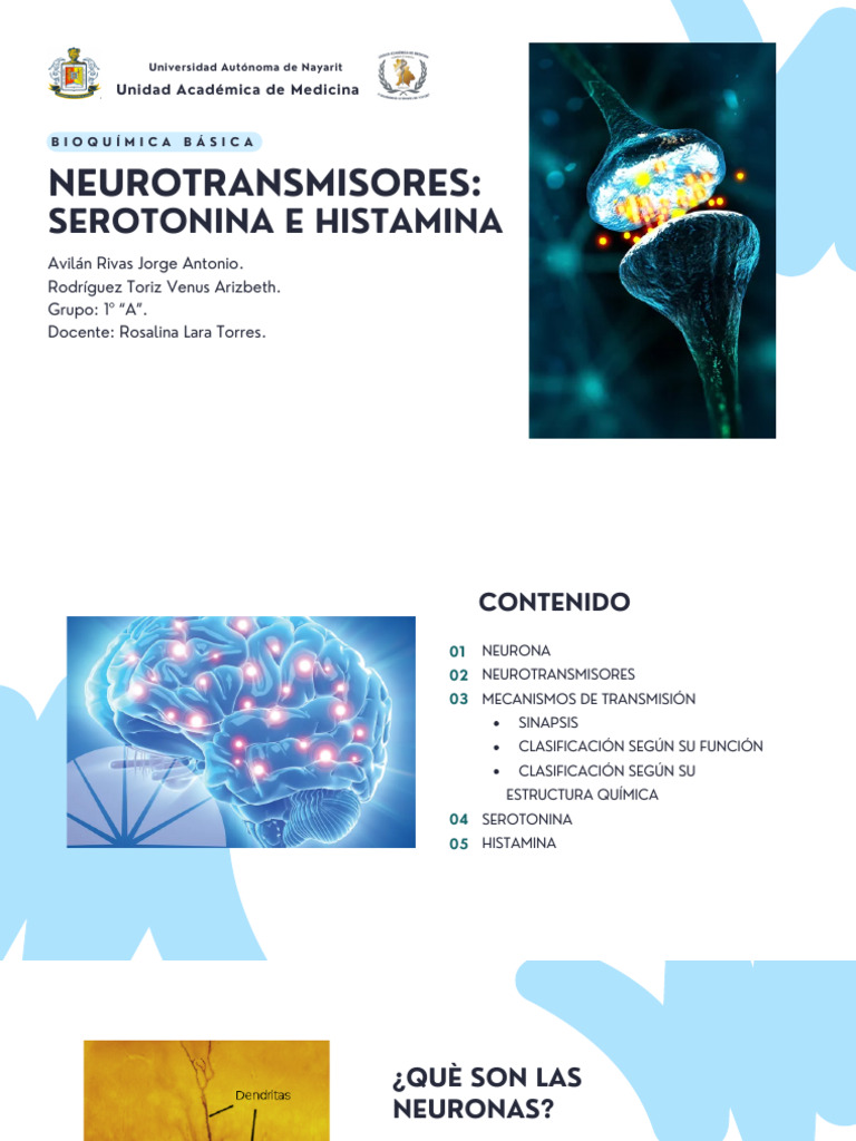 Neurotransmisores Serotonina e Histamina | PDF | Serotonina | Sinapsis
