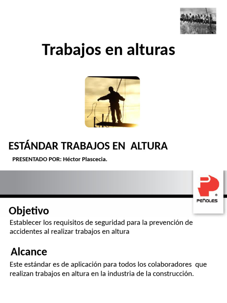 PresenTrabajAlturas MCS | PDF | Andamio | Escalera