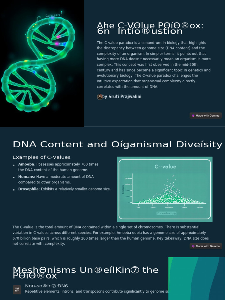 The C Value Paradox An Introduction | PDF | Genome | Dna