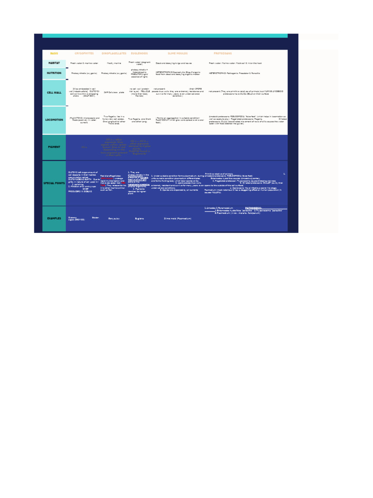 Kingdom Protista Classification Chart | PDF | Protozoa | Biology