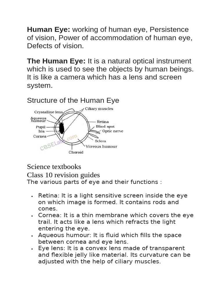 Human Eye Structure and Functions | PDF | Eye | Human Eye