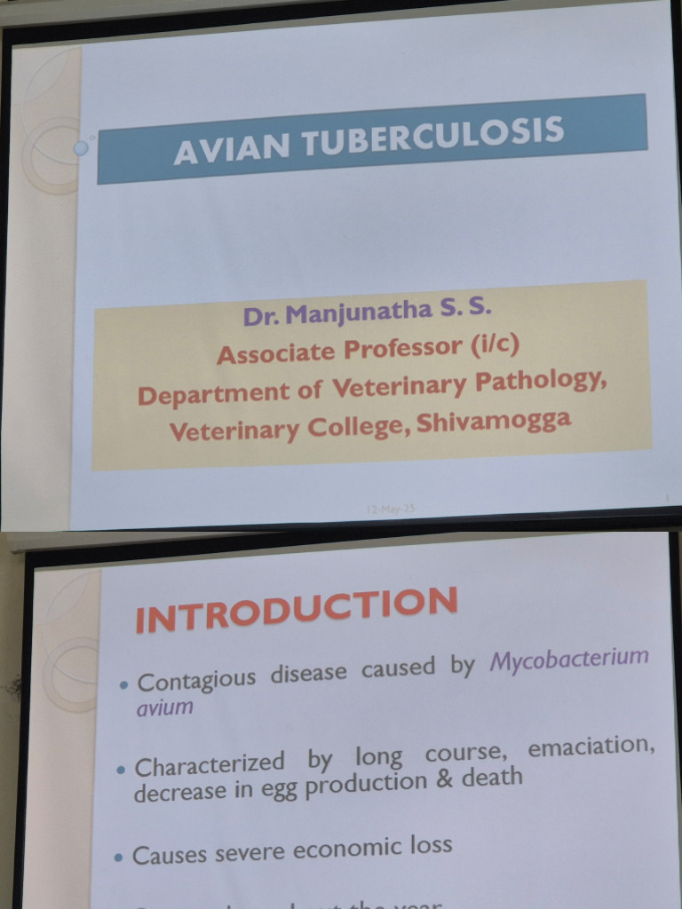 Avian Patho Tuberculosis | PDF | Tuberculosis | Medical Specialties