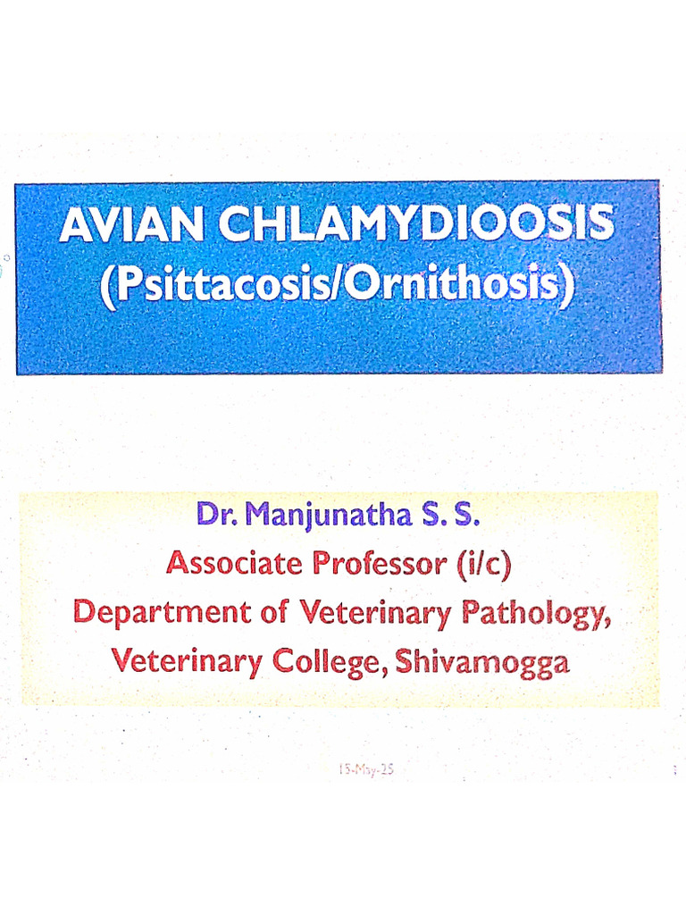 Avian Chlamydiosis # Patho | PDF