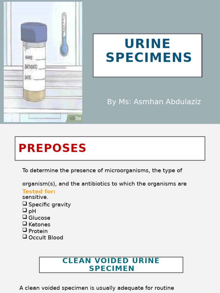 Types of Urine Specimens Explained | PDF | Urine | Urination