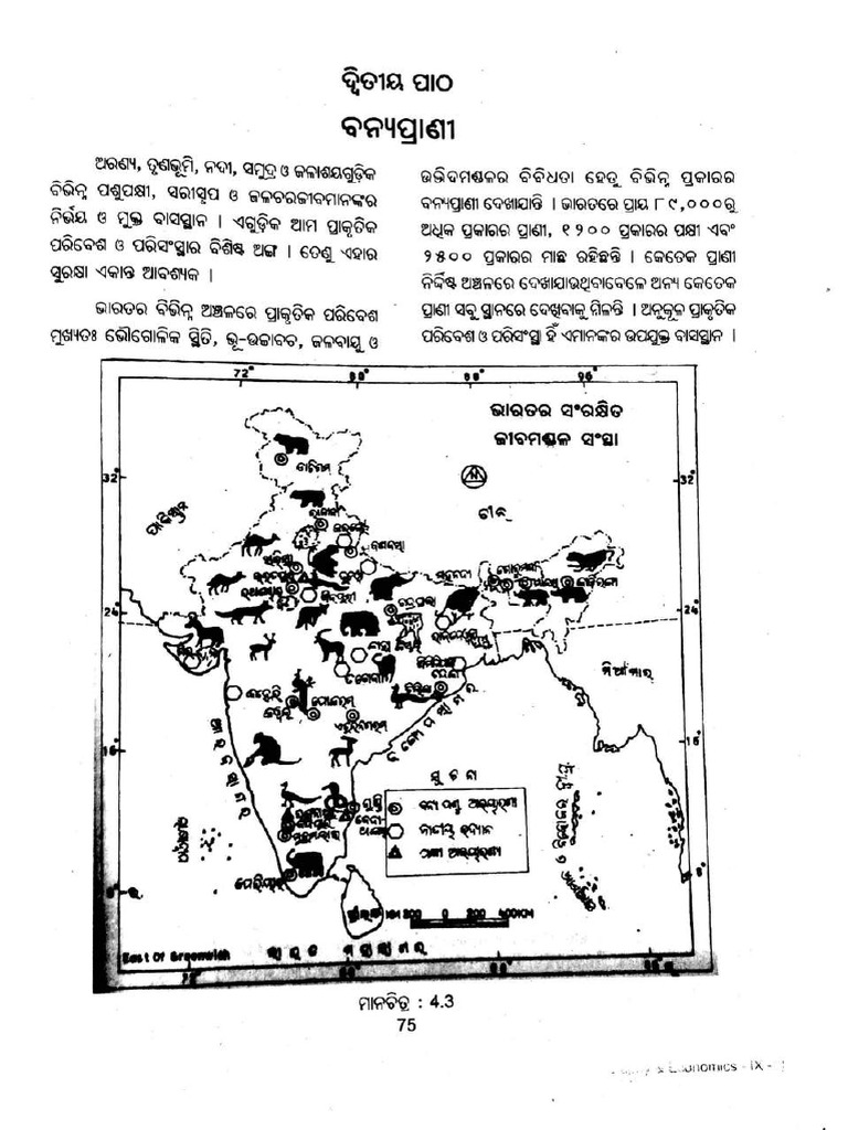 Selfstudys Com File | PDF