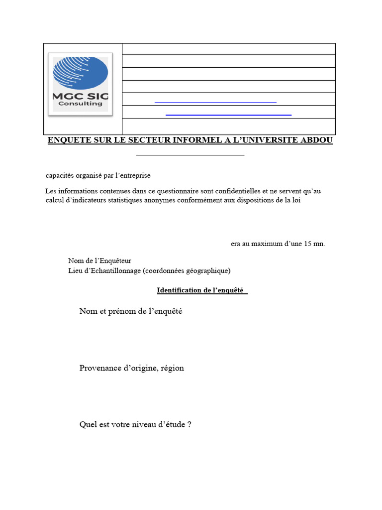 Enquête sur le secteur informel à Niamey | PDF