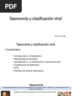 Clasificación Viral de Baltimore | PDF | Virus | Rna