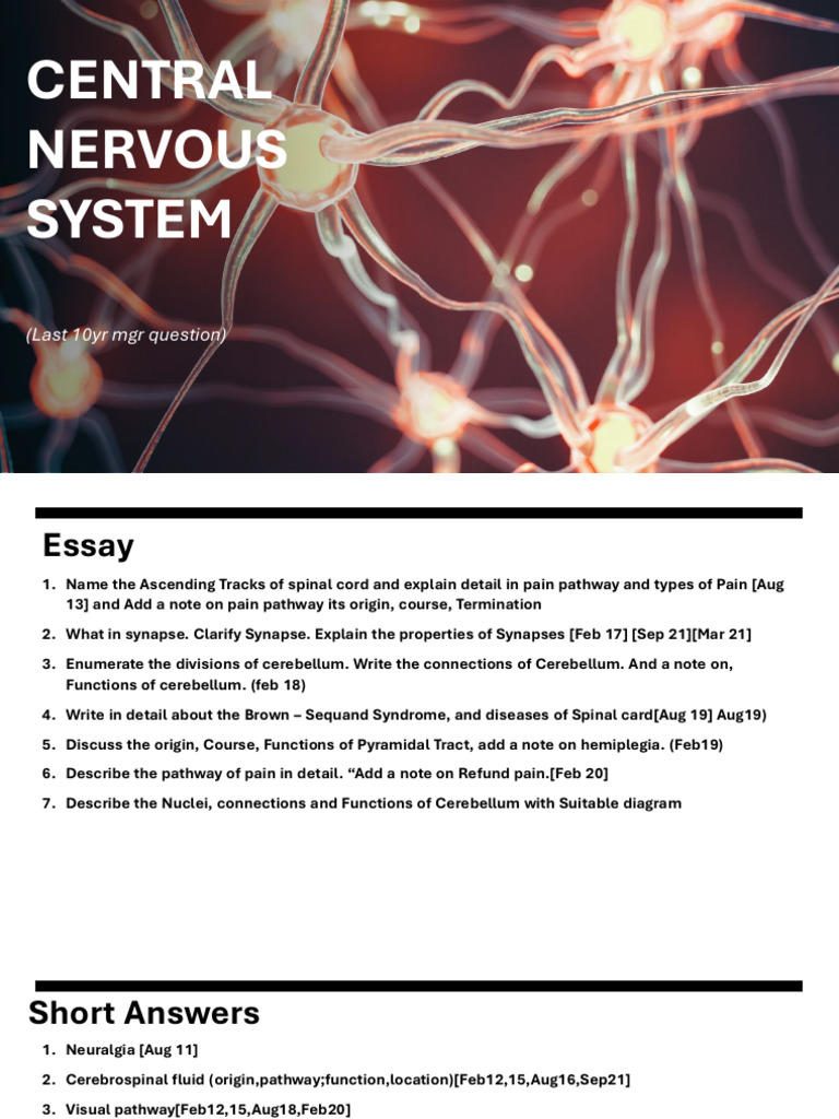 Central Nervous System Overview and Pathways | PDF