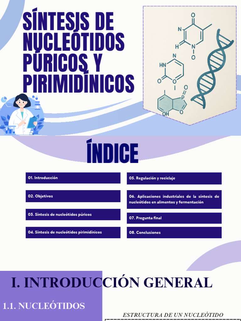 Síntesis de Nucleótidos Púricos y Pirimidinicos | PDF | Nucleótidos ...
