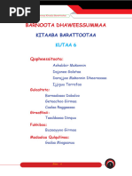 Walaloo Baruumsaa | PDF