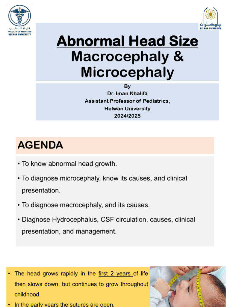 Understanding Macrocephaly & Microcephaly | PDF | Cerebrospinal Fluid ...