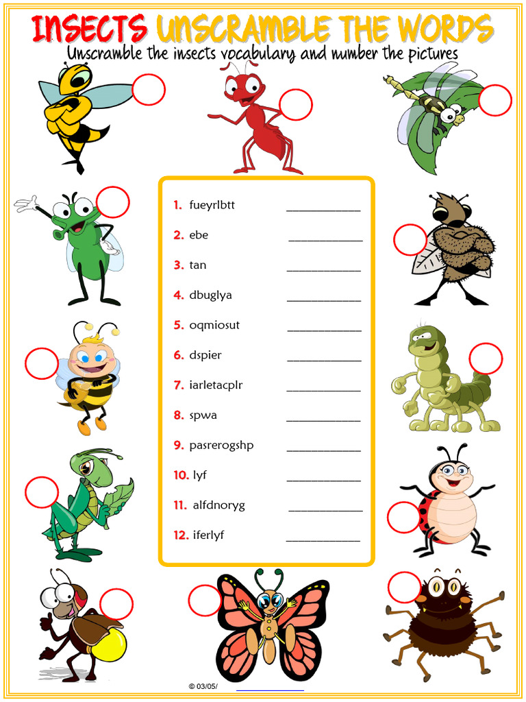 Insects Vocabulary Esl | PDF
