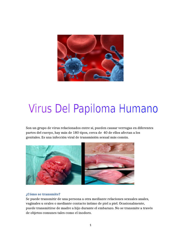 Infección por VPH: Transmisión y Prevención | PDF | Infección ...