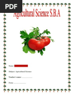 Agricultural Science Sba On Broiler | PDF | Chicken | Poultry Farming
