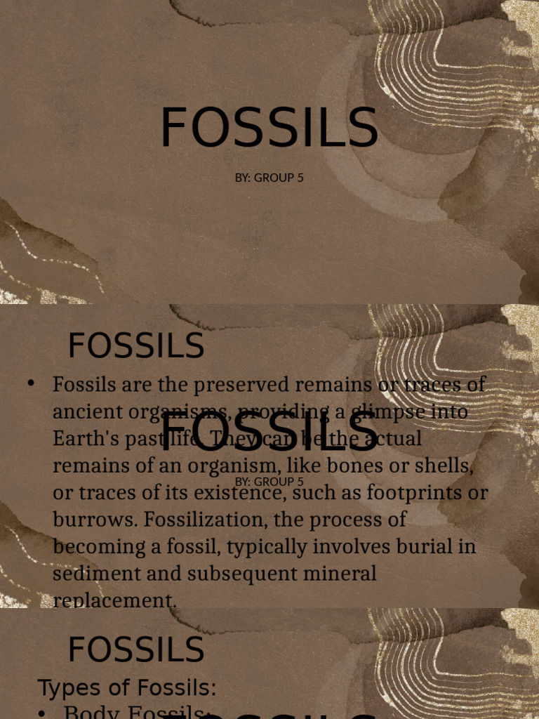 FOSSILS | PDF