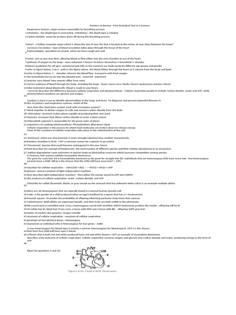 9 SCIENCE Q1 Pointers To Review | PDF | Respiratory System ...