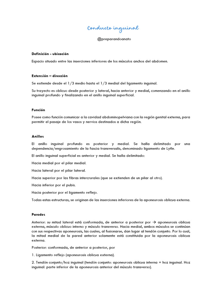 Estructura y Función del Conducto Inguinal | PDF | Abdomen | Sistema ...