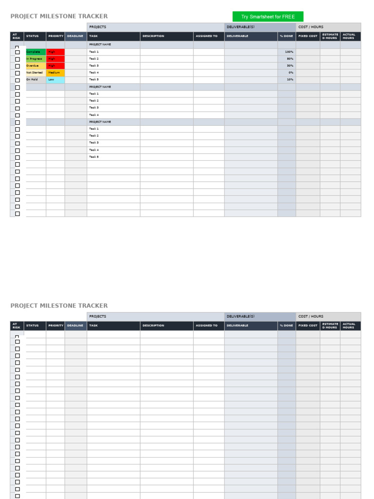 Project Milestone Tracker Template | PDF