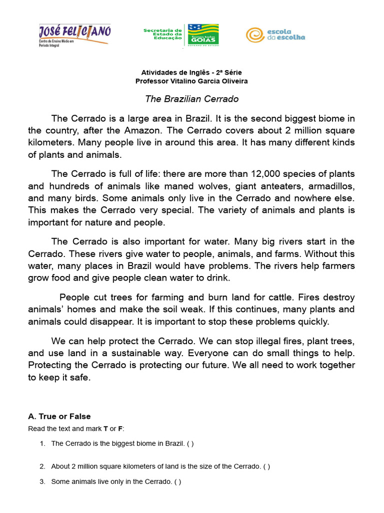 Protecting the Brazilian Cerrado | PDF